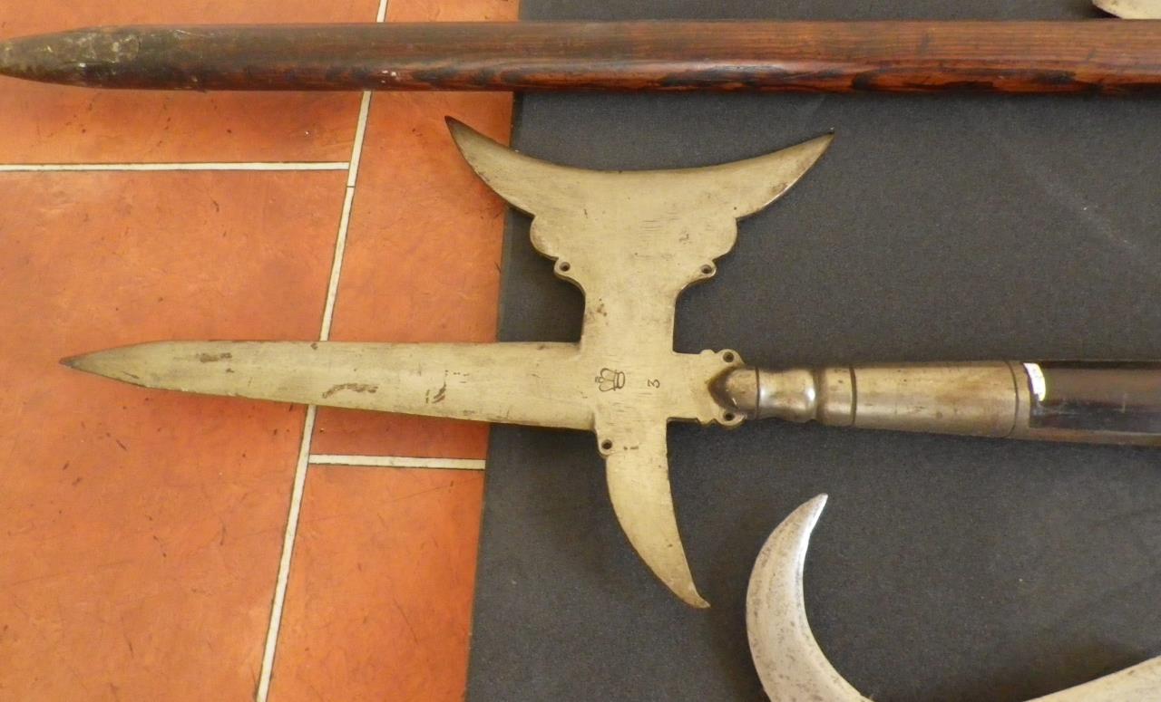 Download image | Sergeant's Halberd | York Museums Trust