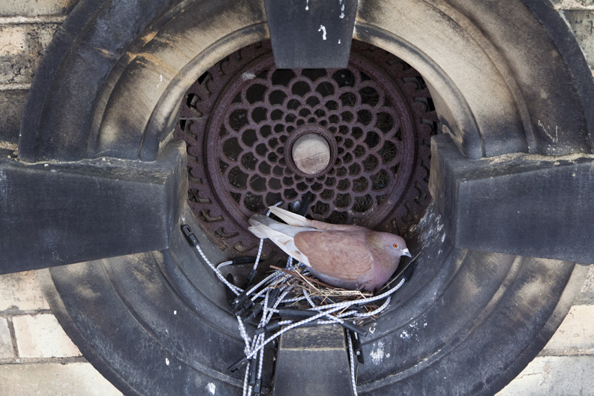 New Spaces-York Art Gallery Project an Update – Lorna Sergeant | York ...