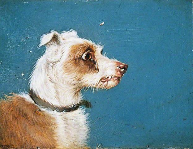 A Dog’s Life: Martin Theodore Ward – Simon Spier | York Museums Trust