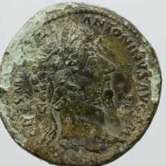 Coins from Catterick Roman Fort – Dakota Bagley-Sweet | York Museums Trust