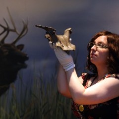 Star Carr Headdress Celebrated as Part of Royal Mail 'Ancient Britain ...