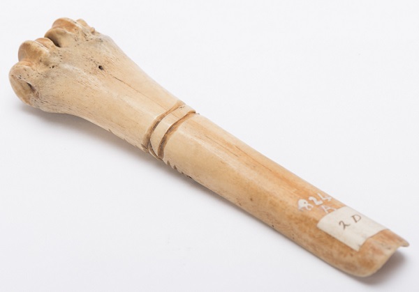 Museum Mysteries – Unusual Objects from the York Castle Museum ...