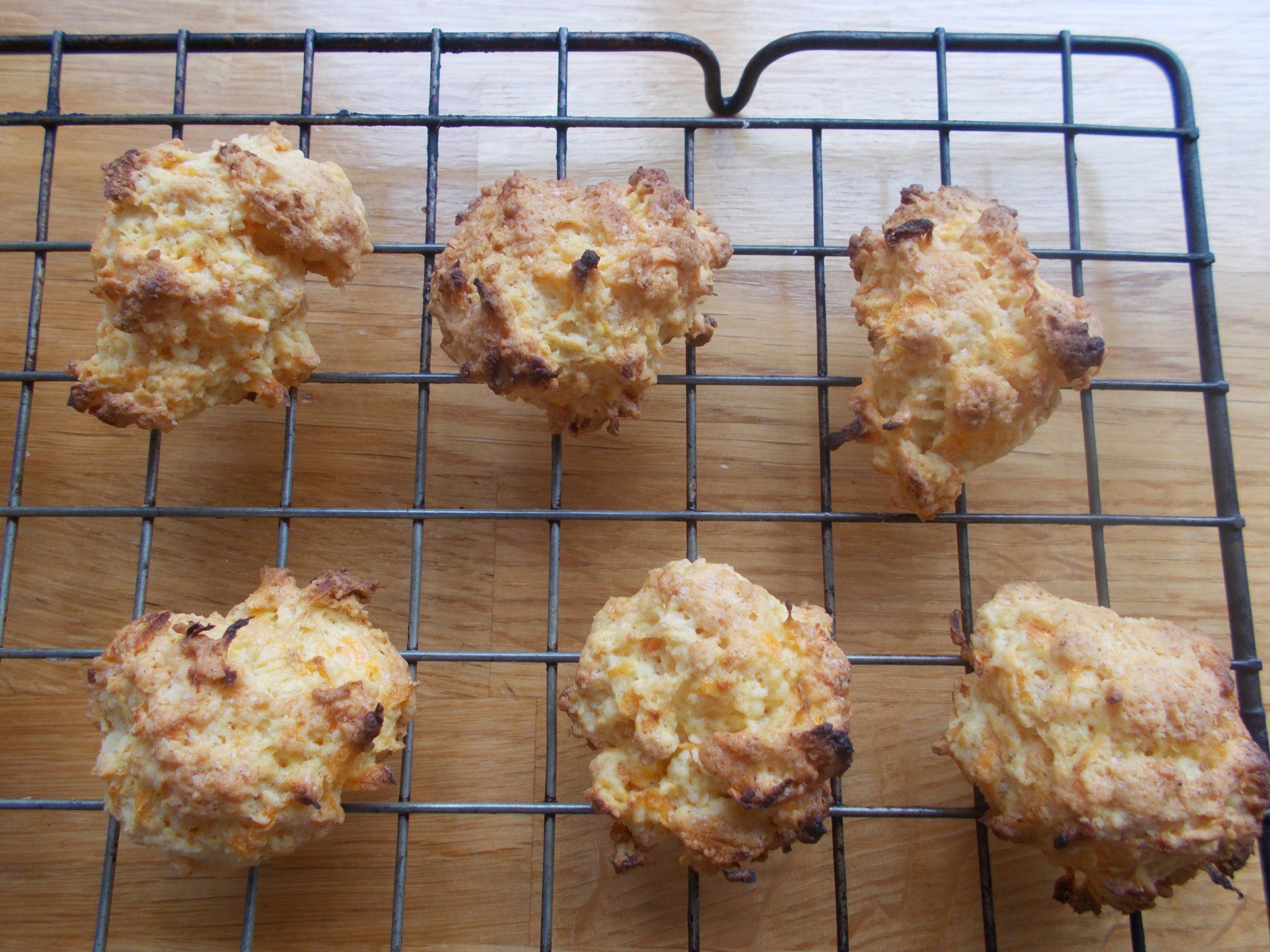 Carrot Cookies: Ration Recipes by Sarah Mortimer | York Museums Trust